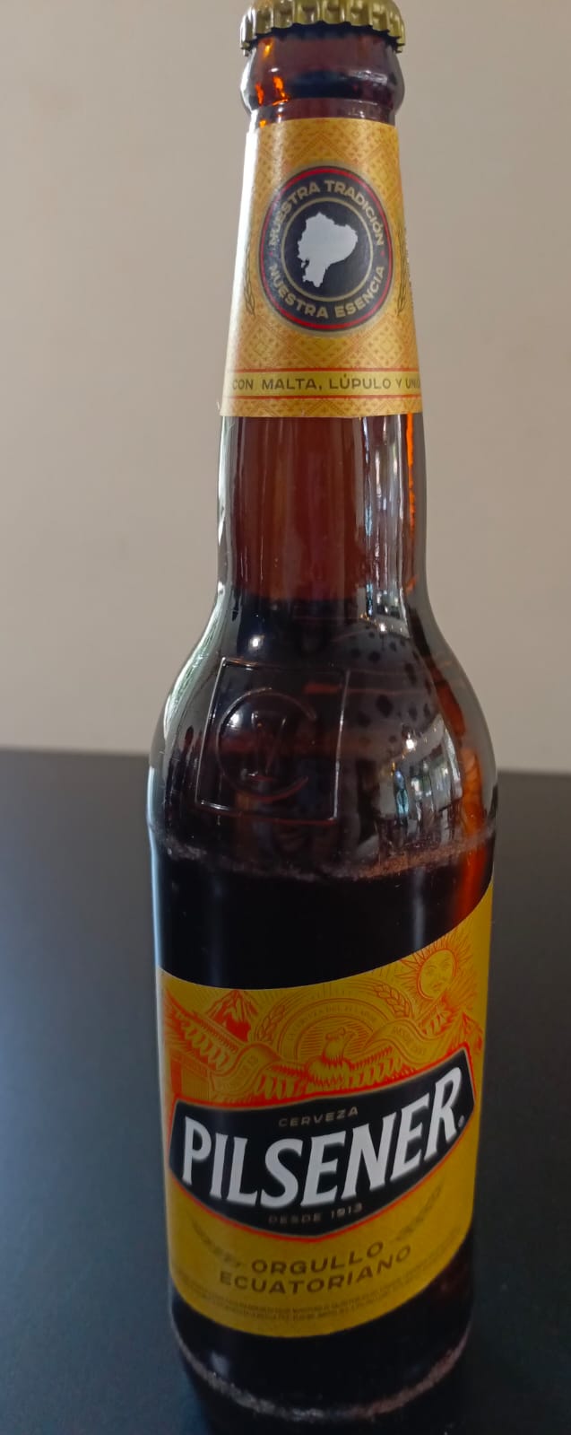 Tu Local de Comida - Menú